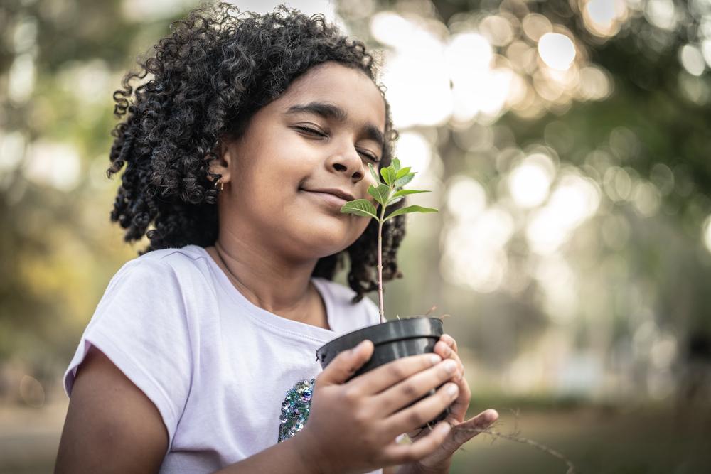 Como Preservar O Meio Ambiente Espalhe Essa Semente